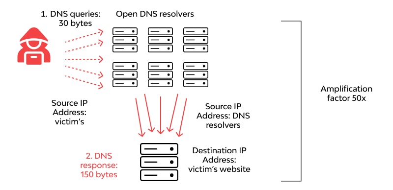 What is NTP Amplification DDOS Attack? Overview 2024